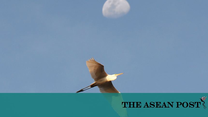 Philippines Declares First Ever H5 Bird Flu Outbreak | The ASEAN Post