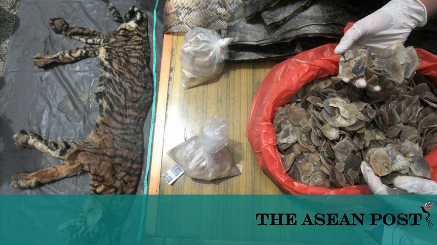 The wildlife butchers' club in Southeast Asia | The ASEAN Post