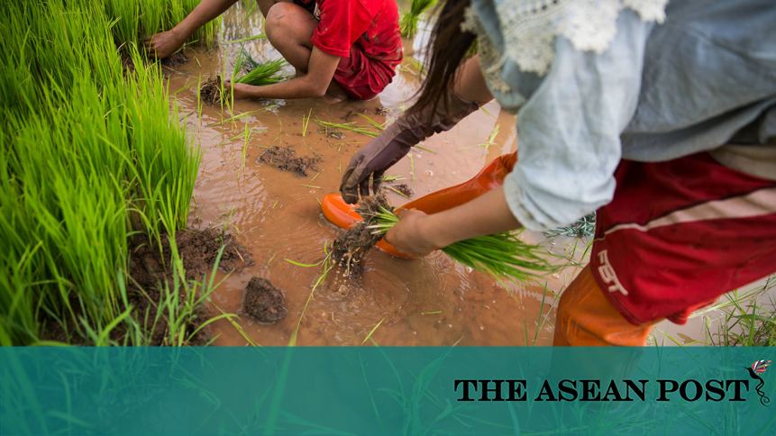 Poorest countries face challenges in ramping up food output | The ASEAN ...