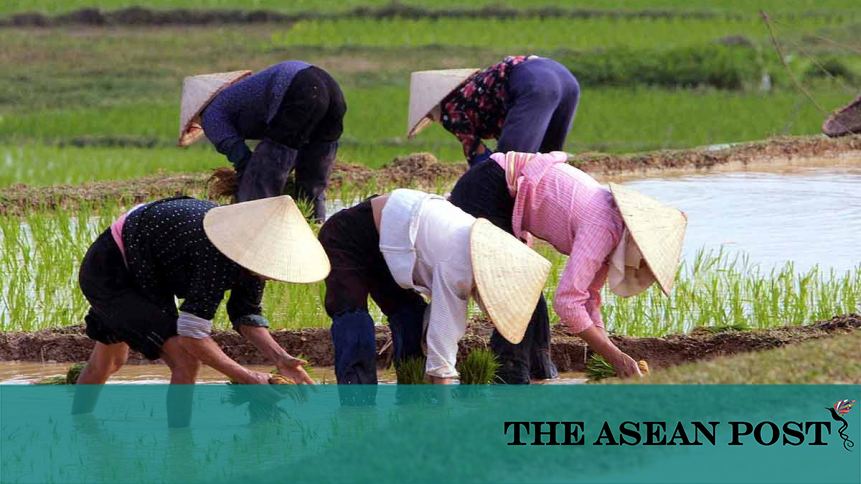 Rice-onomics in Southeast Asia | The ASEAN Post