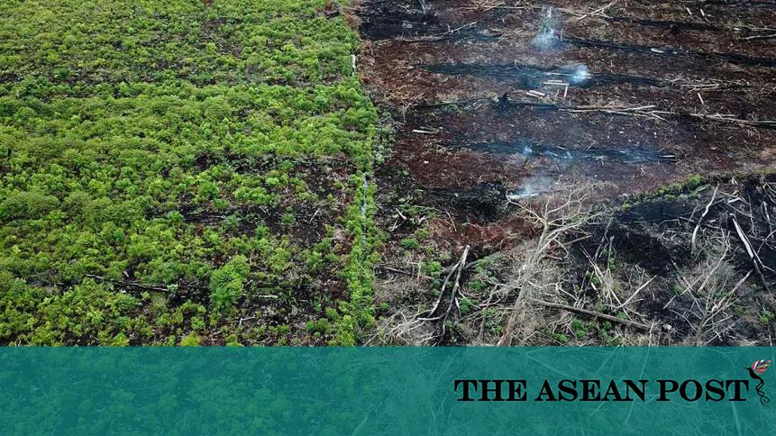 Fighting deforestation with technology | The ASEAN Post