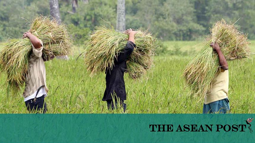 Protecting our food by protecting our farmers | The ASEAN Post