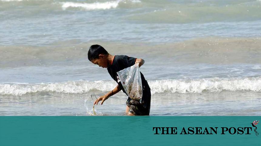 Achieving A Plastic-Free Ocean | The ASEAN Post