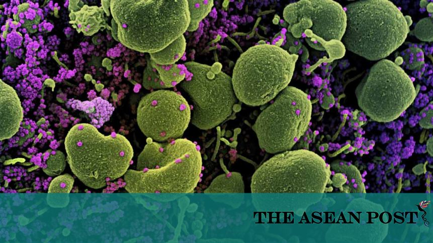 Contagious: What We Know About COVD-19 Variants | The ASEAN Post