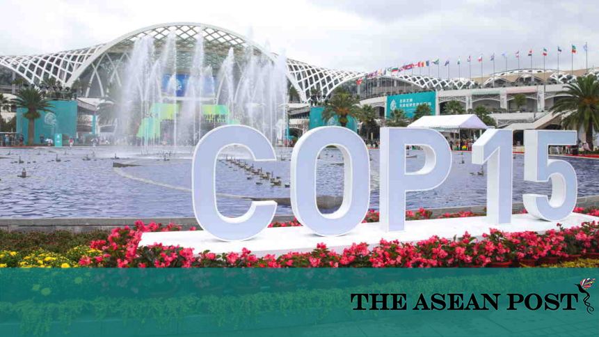 195 Nations Back 'Kunming' Pledge On Biodiversity | The ASEAN Post